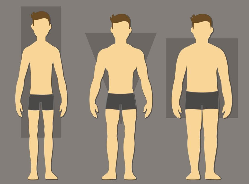 Ektomorfik Mezomorfik Endomorfik Kt rym Jeste I Co To Dla Ciebie Ektomorfik Mezomorfik Endomorfik Kt rym Jeste I Co To Dla Ciebie